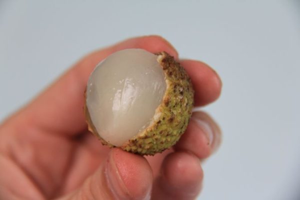 Vietnamese Tropical Fruit (and how to eat it) - IFOTC