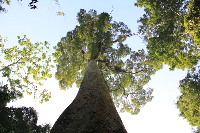 Cuc Phuong, Vietnam's Largest National Park | ...onthecheap