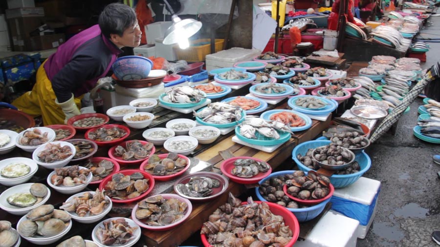 Eating it Raw in the Largest Fish Market in South Korea - Jagalchi Market